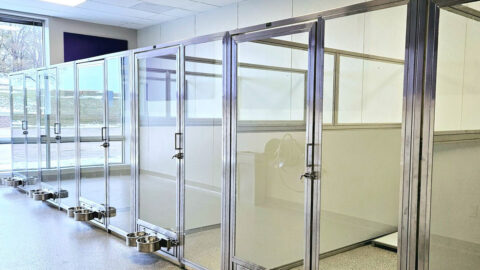 Boarding - The Spot Training Facility